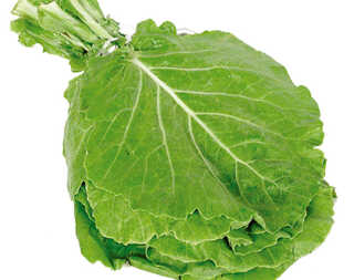 Benefícios da Couve