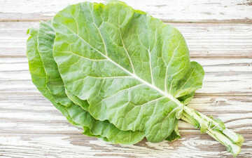 Benefícios da Couve