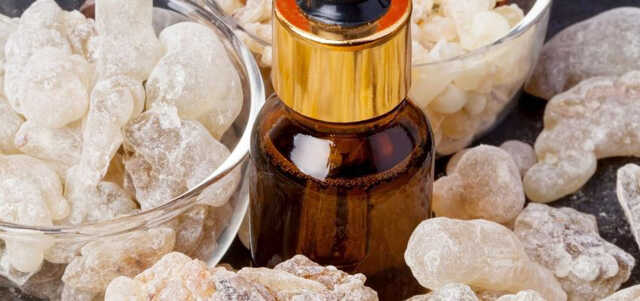 Conheça o Óleo Essencial de Olíbano