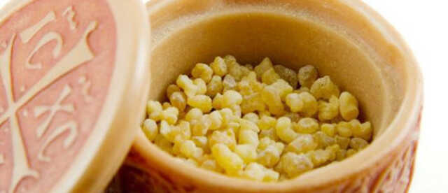 Conheça o Óleo Essencial de Olíbano