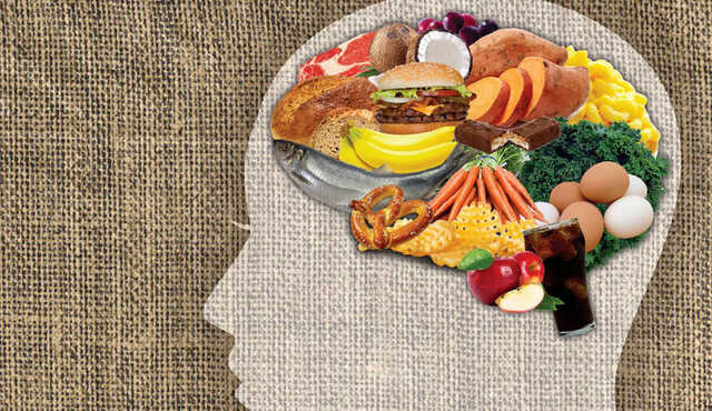 Nutrição Para O Cérebro E Prevenção Do Alzheimer