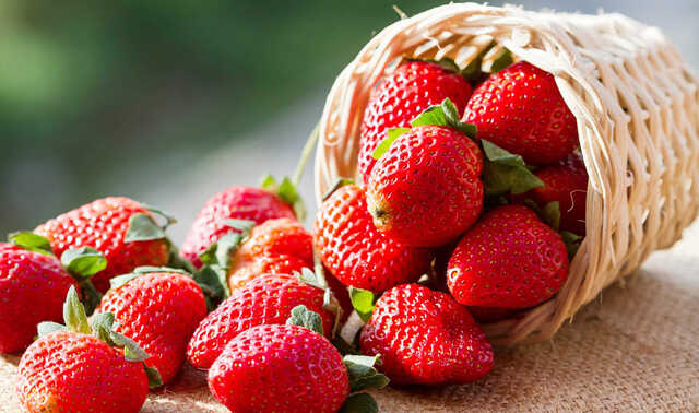 Benefícios do Morango