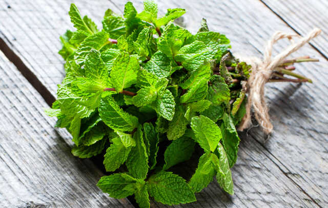 Hortelã: Erva Poderosa para a Saúde