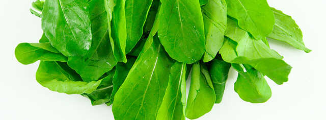 Rúcula: Opção Fantástica para sua Saúde